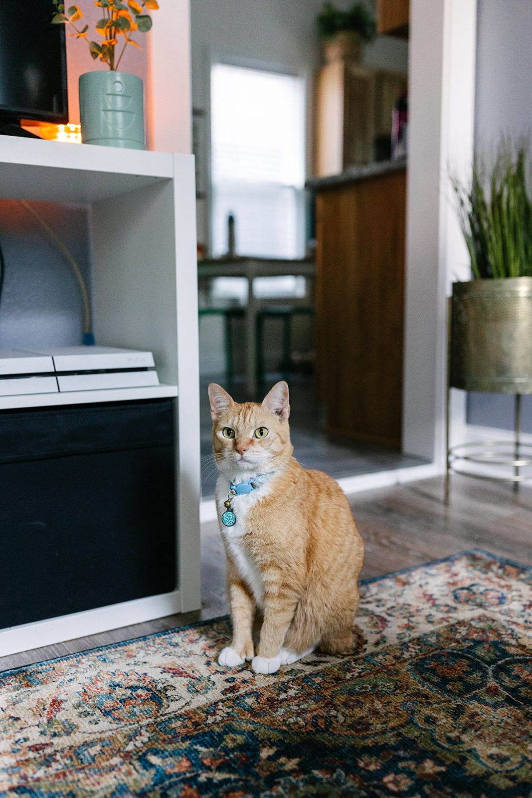 Five Tips For Your In-Home Photoshoot From a Kansas City Photographer